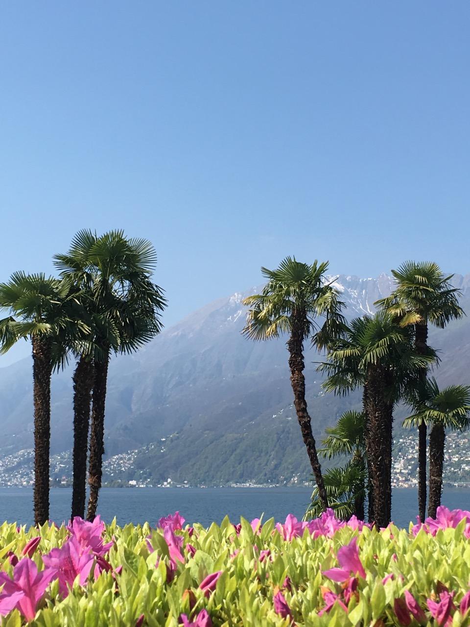 Eden Roc Ascona – #24HTICINO | Ask the Monsters