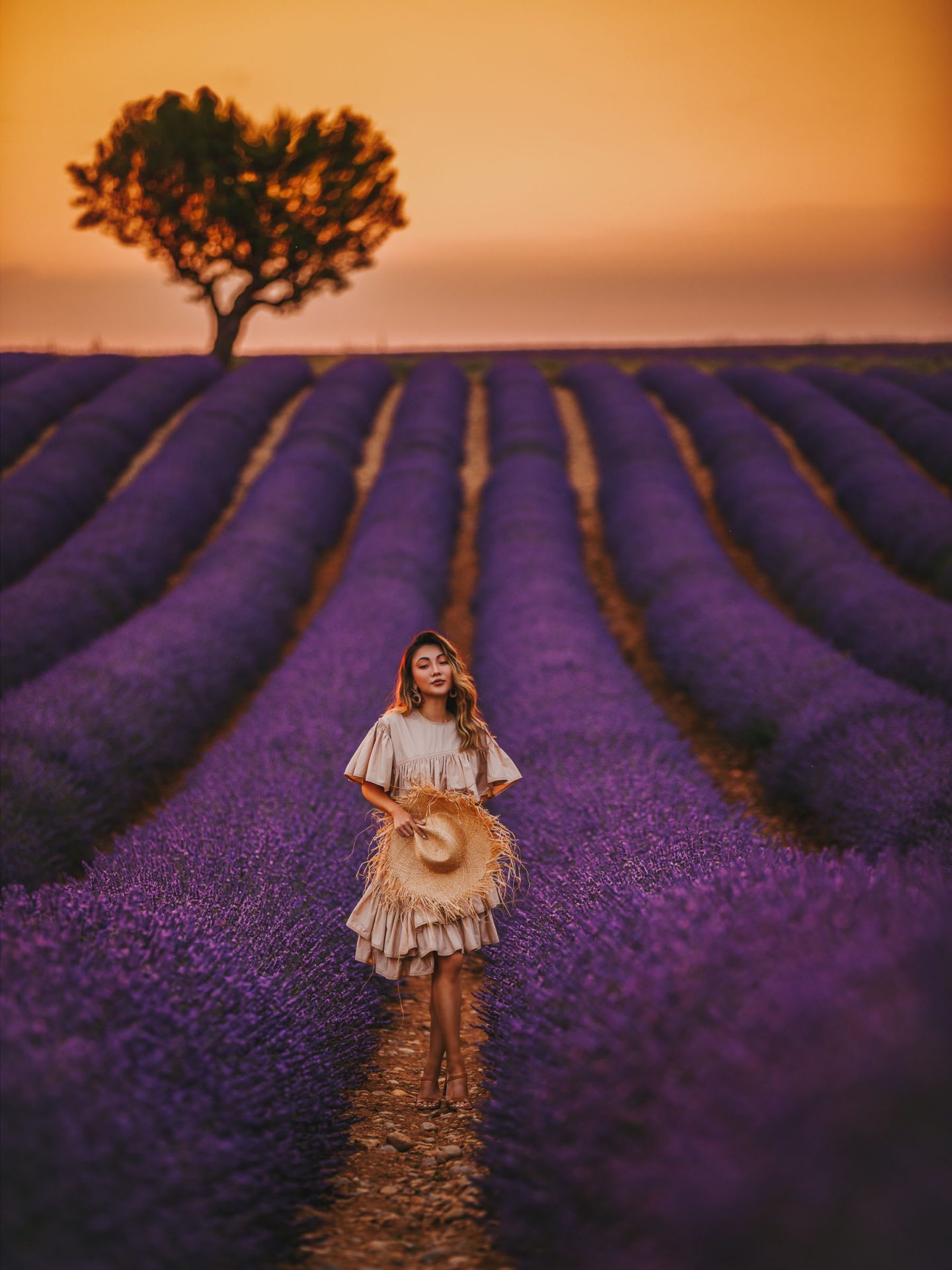 The Lavender Trend on Instagram | Ask the Monsters